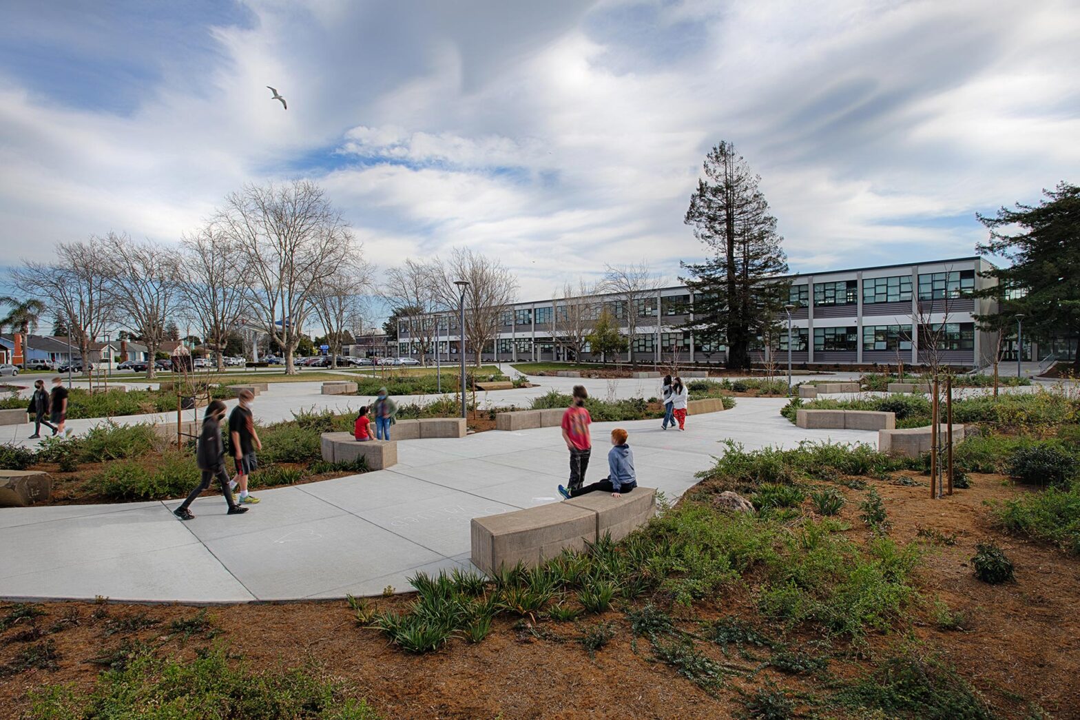 Encinal Junior & Senior High School – QKA – Quattrocchi Kwok Architects