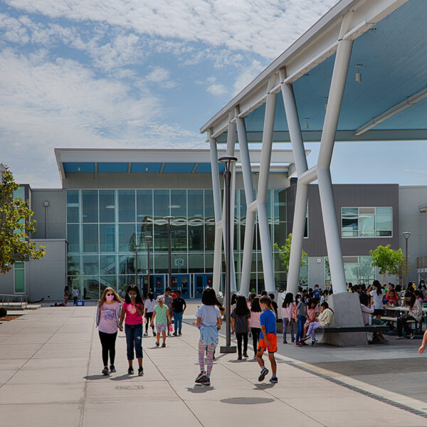 The Cove School – QKA – Quattrocchi Kwok Architects